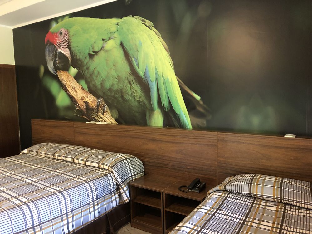 Apartamento - Resort Fazenda São João | São Pedro/SP