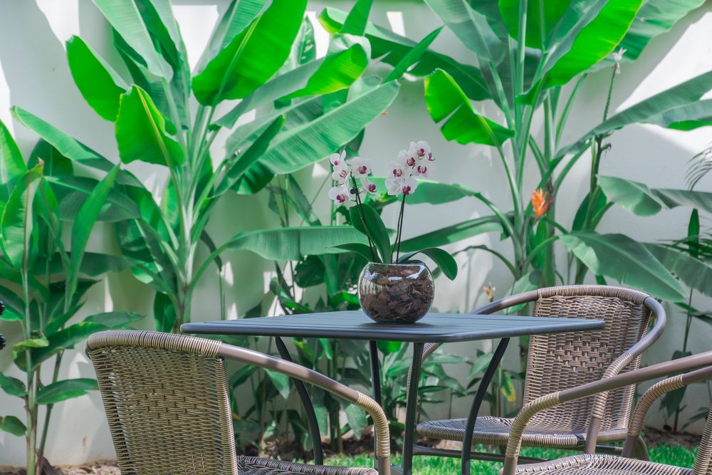 Suíte Família - Resort Fazenda São João | São Pedro/SP